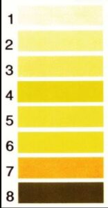 Hydration | ACT Nutrition Support Service