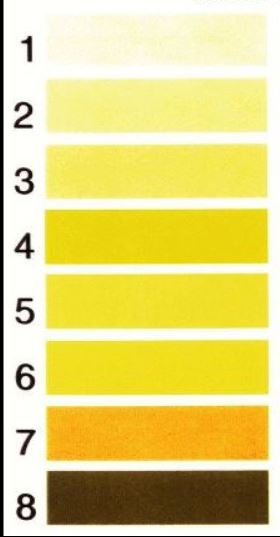 Hydration | ACT Nutrition Support Service